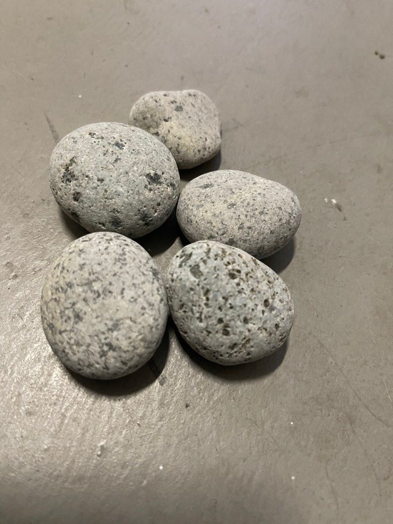 Light grey pebbles, Furniture & Home Living, Gardening, Gardening Tools ...
