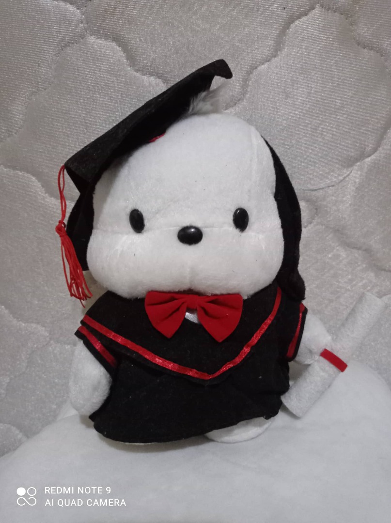 Pochaco Graduation, Hobbies & Toys, Toys & Games on Carousell