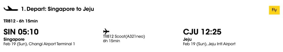 singapore-jeju 2-way return scoot ticket (19 feb-24 feb 2023), Tickets ...