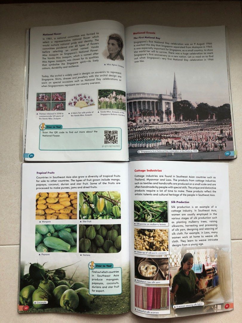 Social Studies Textbook Primary 5A and 5B, Hobbies & Toys, Books ...