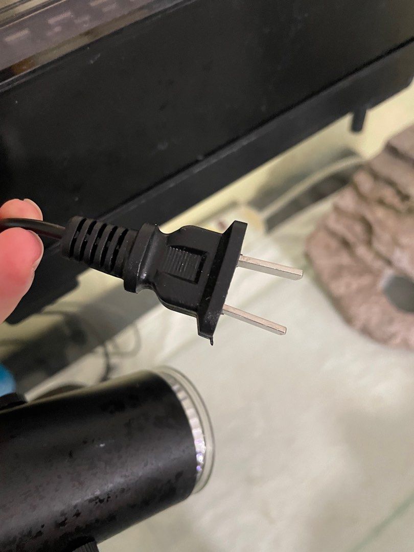 Terrapin set up, Pet Supplies, Homes & Other Pet Accessories on Carousell