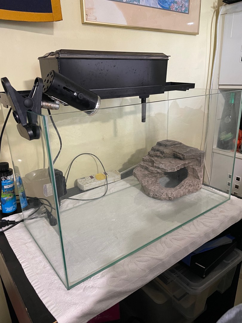 Terrapin set up, Pet Supplies, Homes & Other Pet Accessories on Carousell