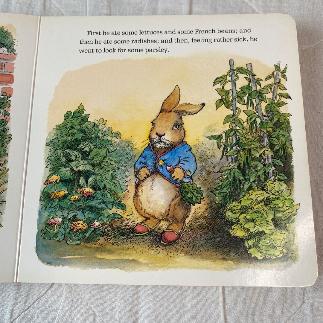 The Tale of Peter Rabbit (board book), Hobbies & Toys, Books ...