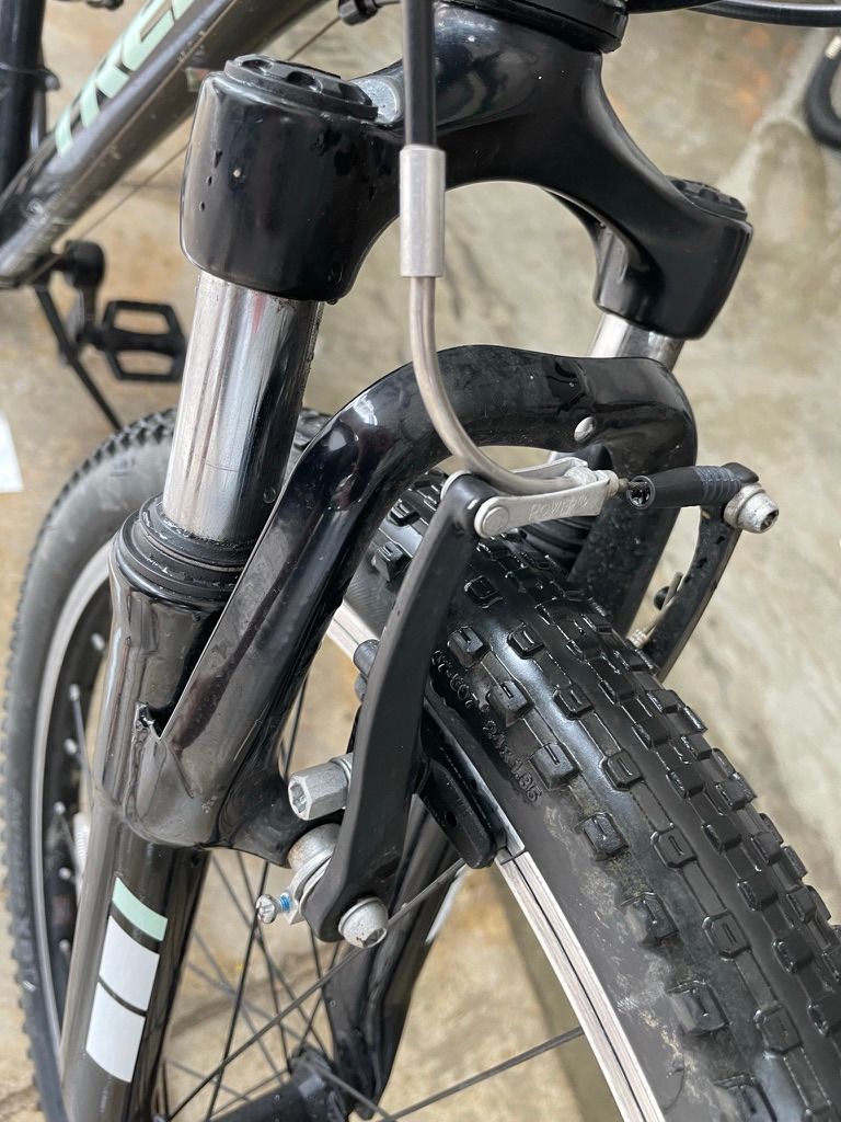 Trek Kids Bike Precaliber 24 (Dialed Suspensions, 21 Speed, Girls), Sports Equipment, Bicycles ...