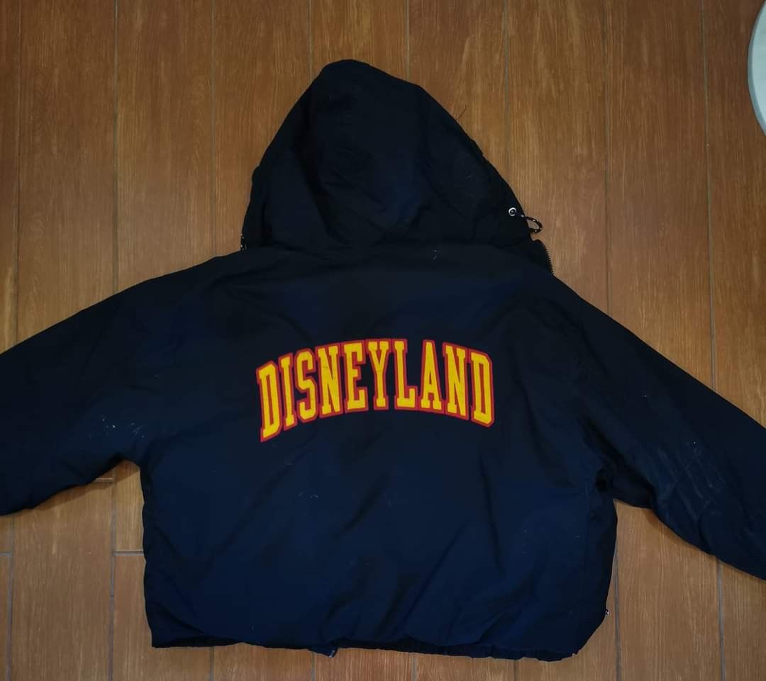 Vintage Disneyland Merch Windbreaker, Men's Fashion, Coats, Jackets and ...