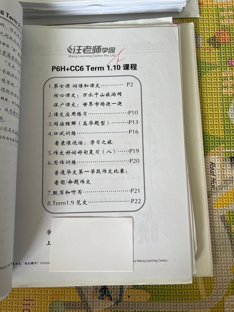 Wang Laoshi P6 Higher Chinese Notes 2022!, Hobbies & Toys, Books ...