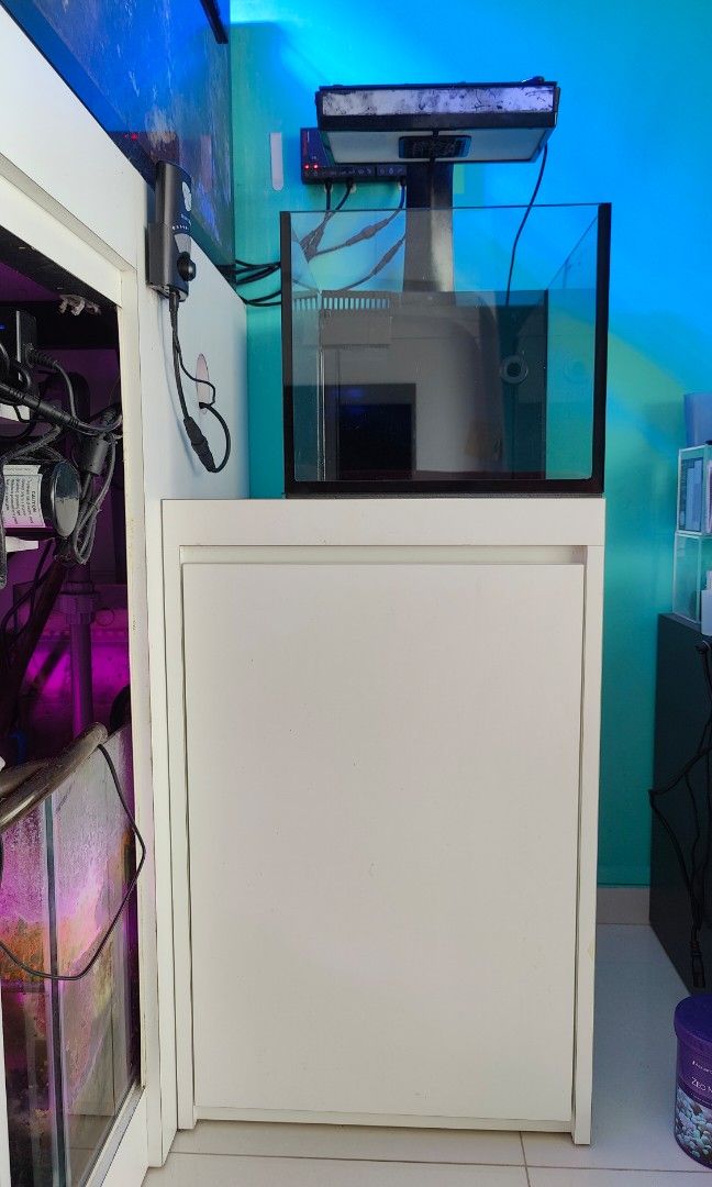 Fish Tank AIO with cabinet, Pet Supplies, Homes & Other Pet Accessories ...