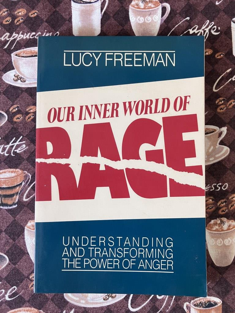 Our Inner World of Rage Anger Management Psychology Mental Health Book ...