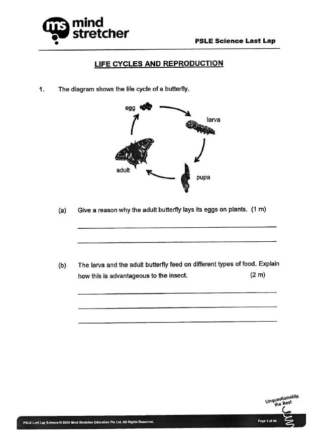 PSLE P6 Science Notes Revision Practices / Science Answering technique ...