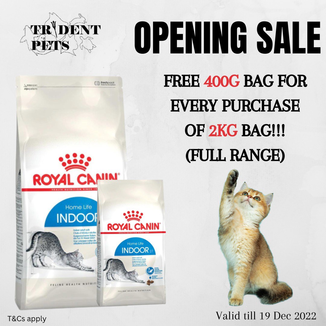Royal Canin Promotion, Pet Supplies, Pet Food on Carousell