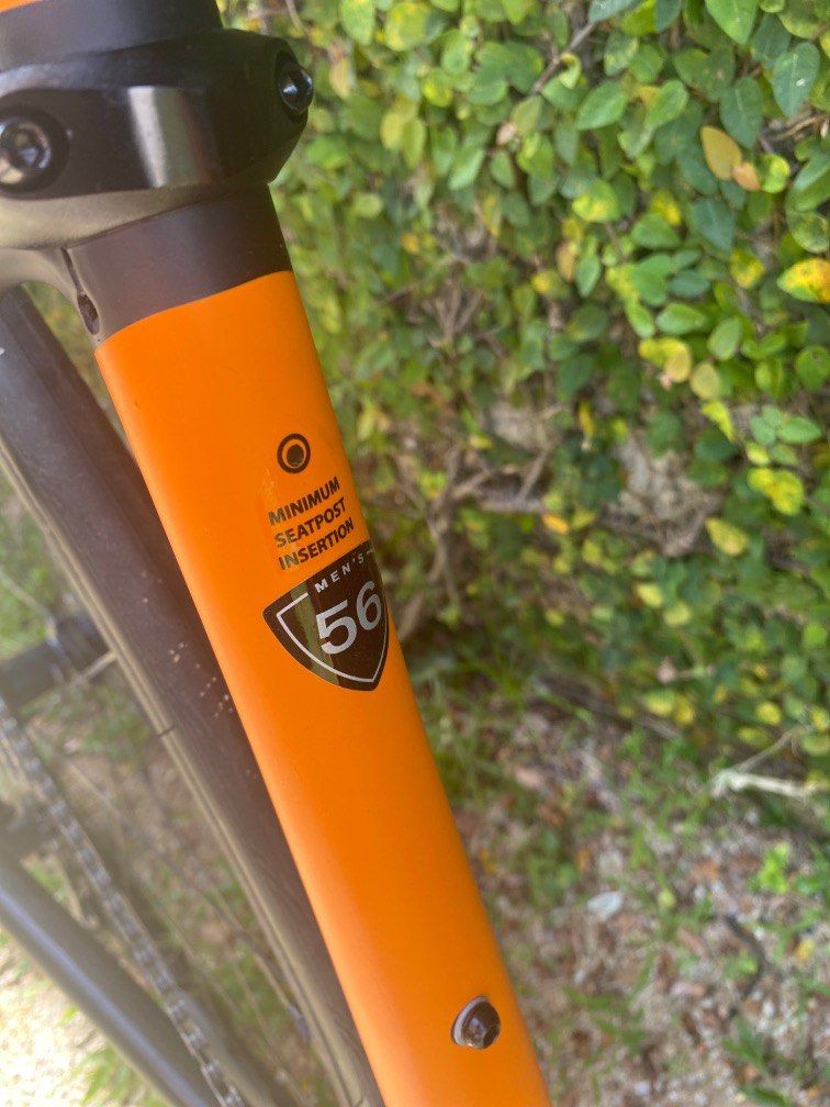 Specialized Roubaix, Sports Equipment, Bicycles & Parts, Bicycles on ...