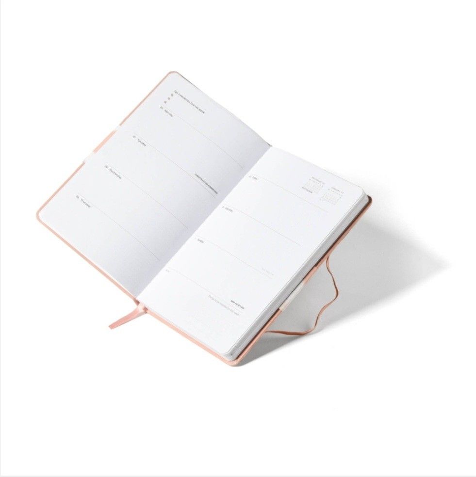 Starbucks 2023 Planner (Singapore Exclusive), Hobbies & Toys ...