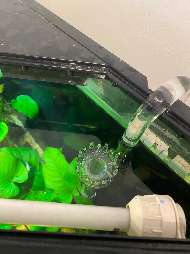 ADA style glass surface skimmer 16/22 / inlet side, Pet Supplies, Homes ...