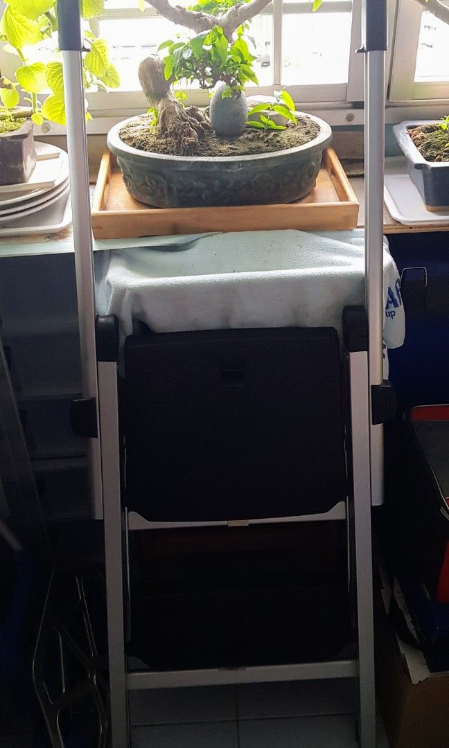 Aluminum Step-Up Ladder, Furniture & Home Living, Furniture, Other Home ...