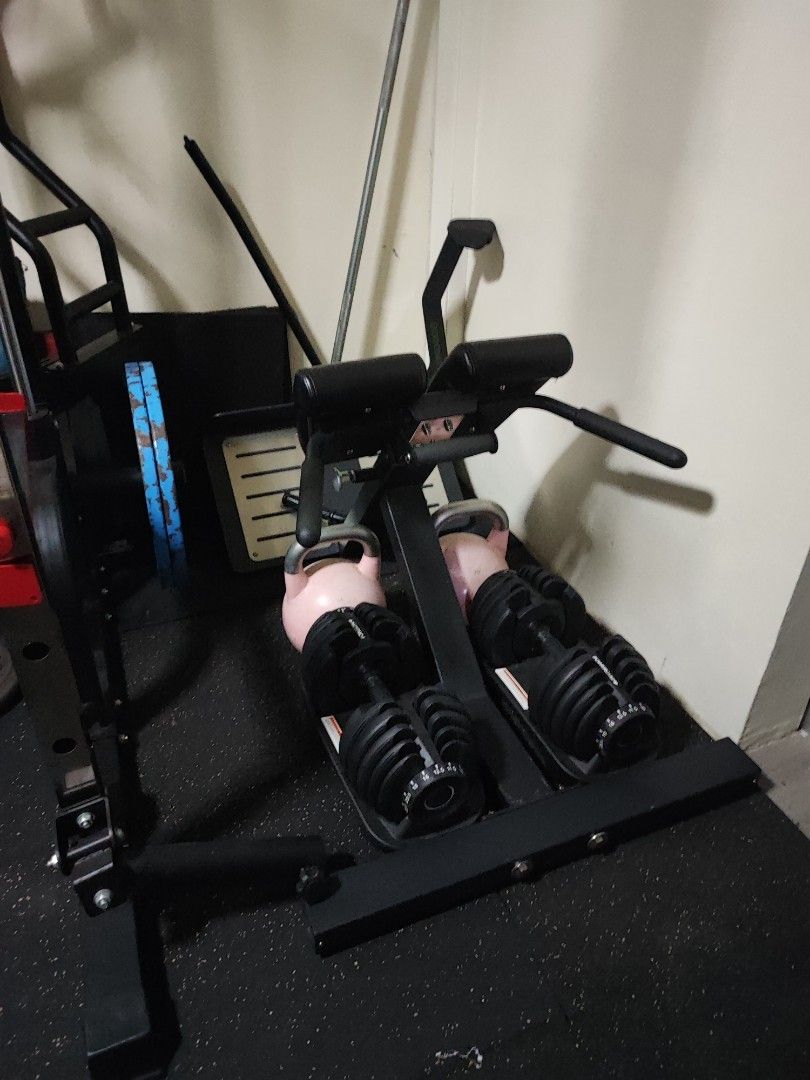 Back extension machine / roman chair, Sports Equipment, Exercise & Fitness, Cardio & Fitness ...