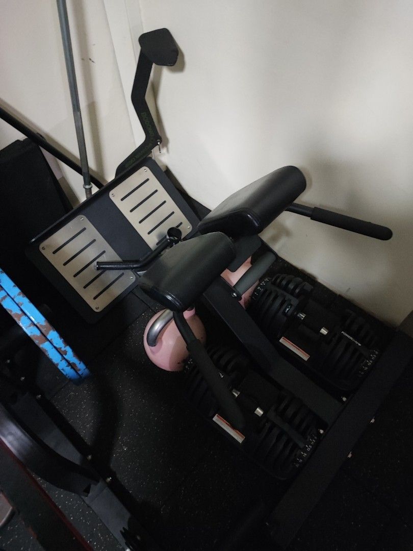 Back extension machine / roman chair, Sports Equipment, Exercise & Fitness, Cardio & Fitness ...