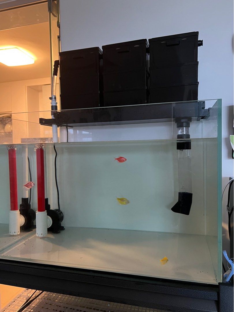 Overhead filter system , fish tank filter, Pet Supplies, Homes & Other ...