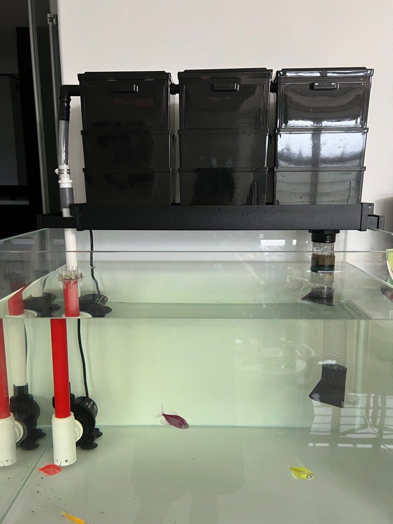 Overhead filter system , fish tank filter, Pet Supplies, Homes & Other ...