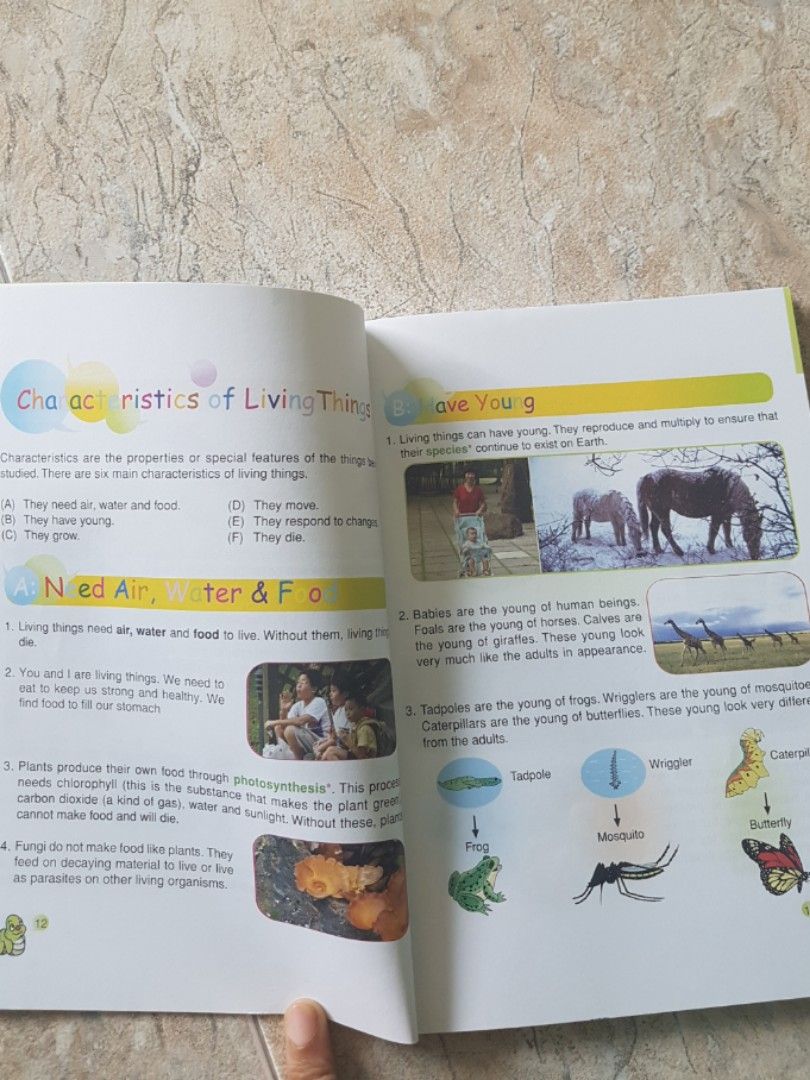 P3 and p4 science, Hobbies & Toys, Books & Magazines, Assessment Books ...