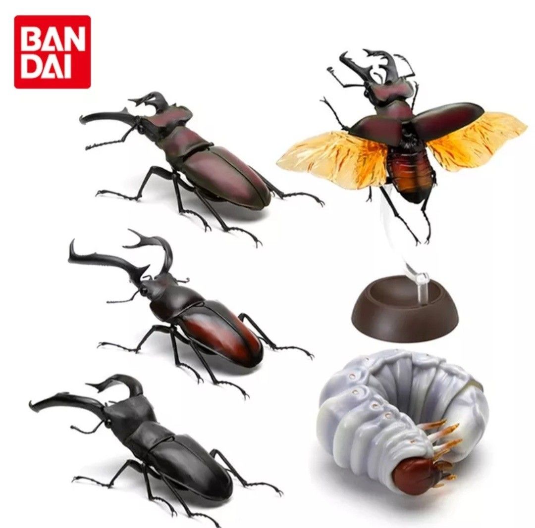[PO] Bandai beetle realistic action figures gashapon gacha dango mushi ...