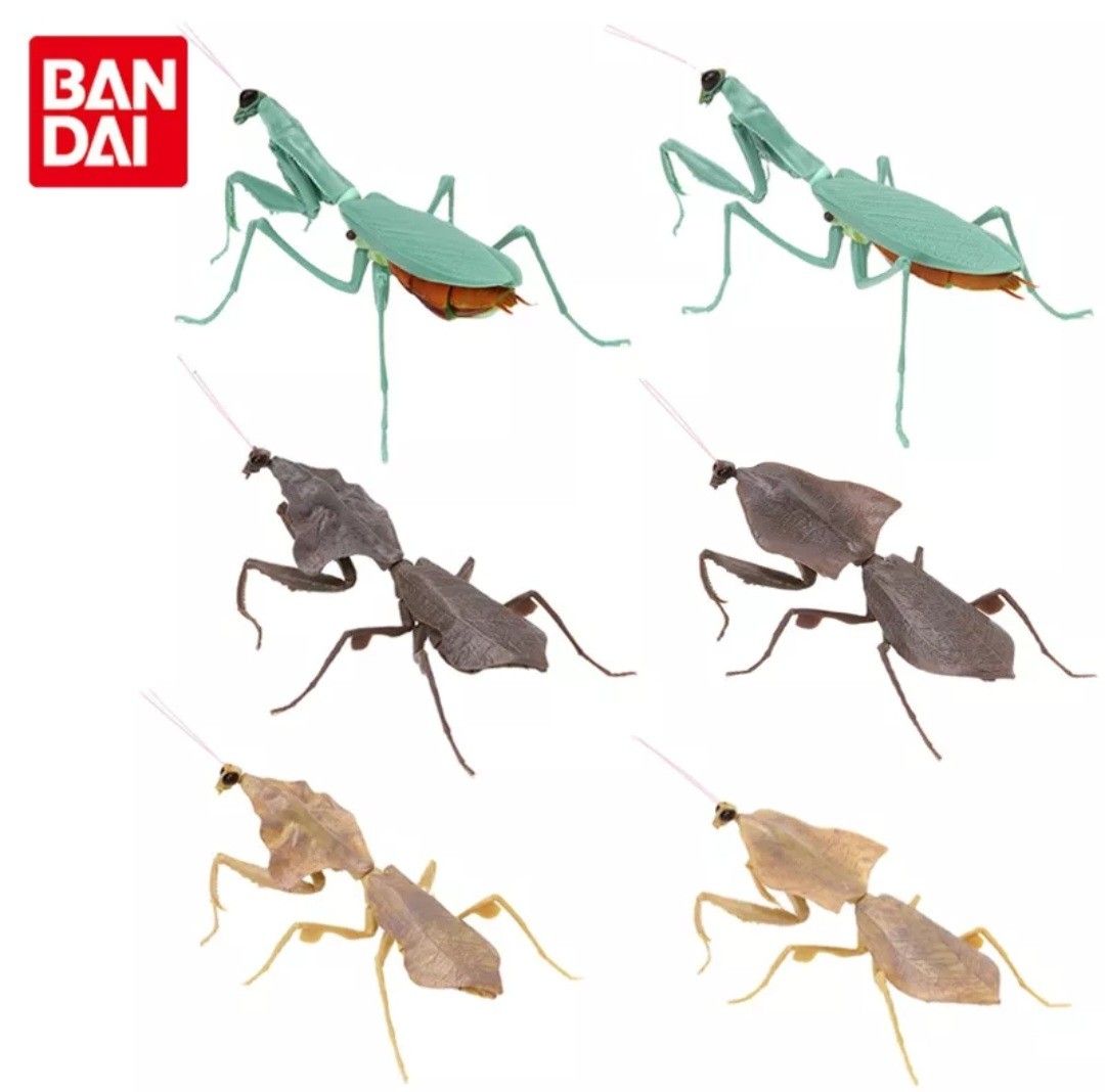 [PO] Bandai mantis realistic action figures gashapon gacha dango mushi ...