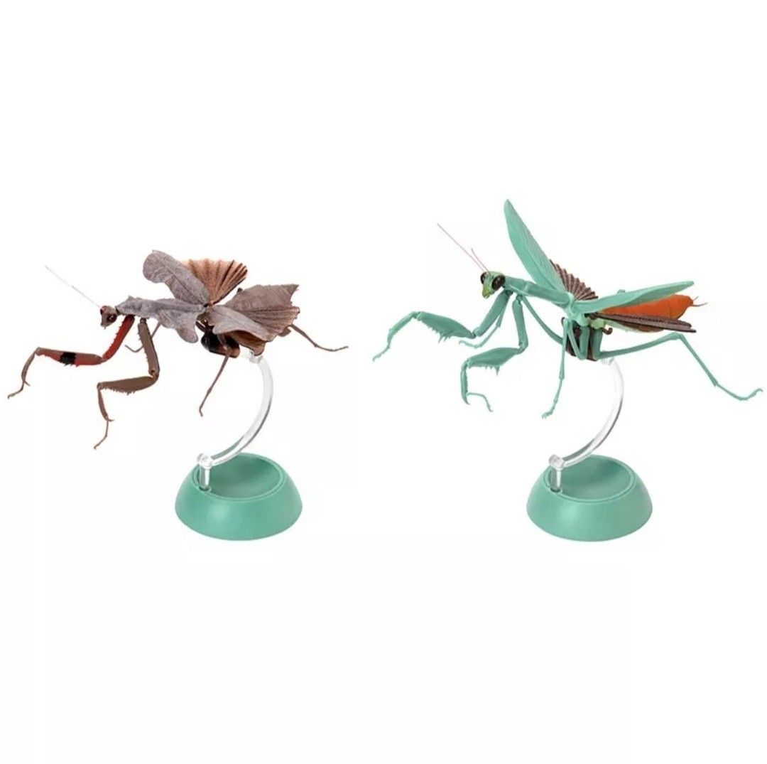 [PO] Bandai mantis realistic action figures gashapon gacha dango mushi ...