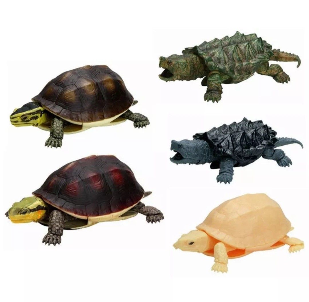 [PO] Bandai tortoise turtle realistic action figures gashapon gacha ...