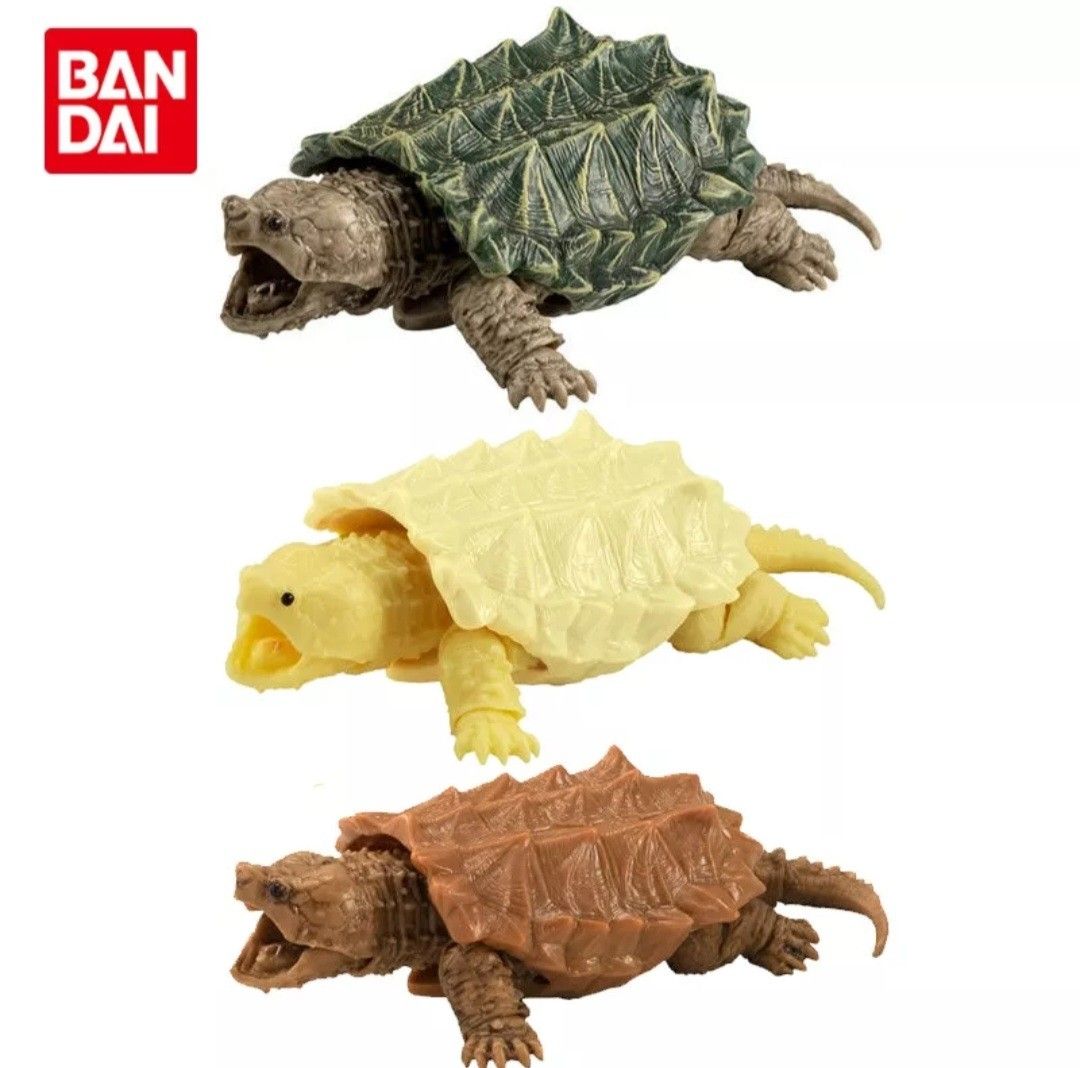 [PO] Bandai tortoise turtle realistic action figures gashapon gacha ...