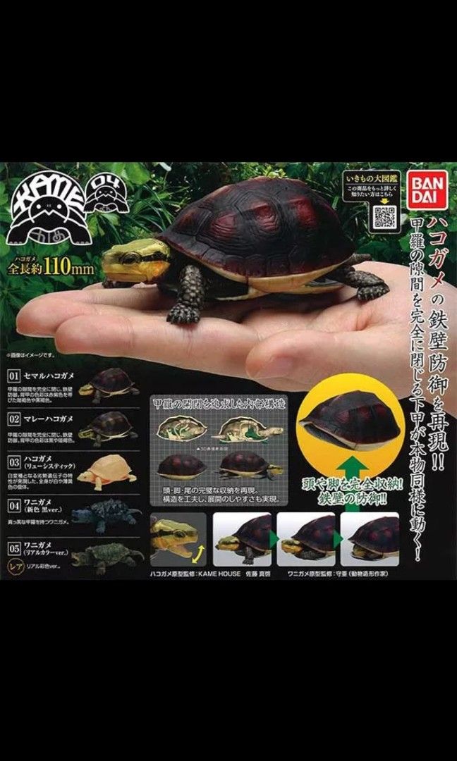 [PO] Bandai tortoise turtle realistic action figures gashapon gacha ...