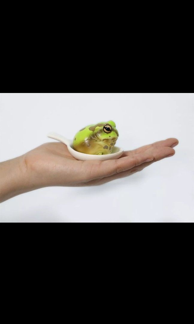 [PO] Frog Planet series 1 & 2 blind box cute realistic animal display ...