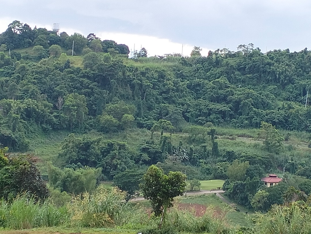 Prime Lot in Antipolo For Sale, Property, For Sale, Lot on Carousell