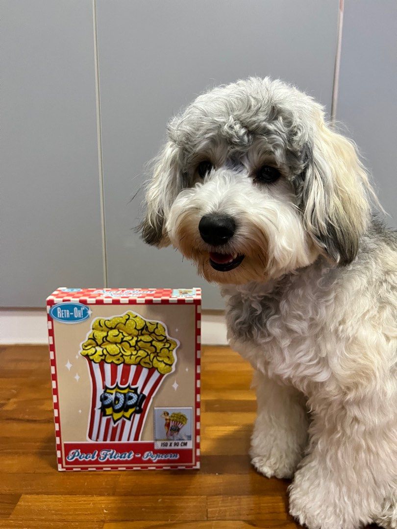 Retr-Oh! Inflatable Popcorn Pool Float, Sports Equipment, Sports ...