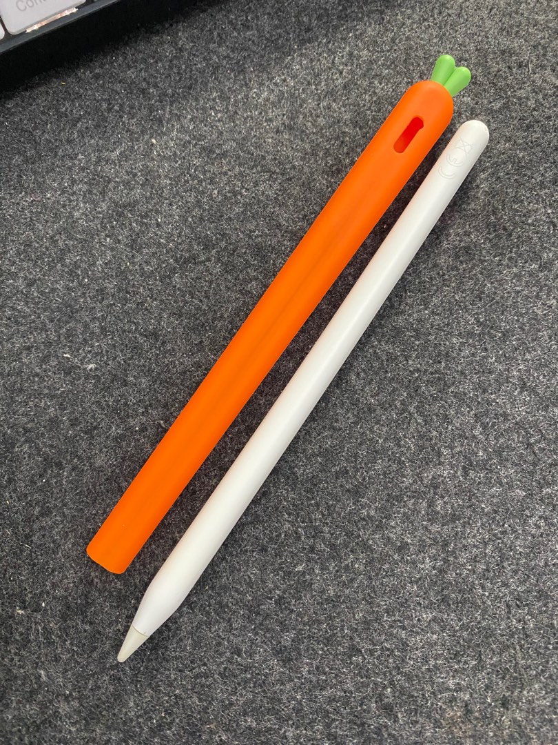 USED Apple Pencil 2nd Generation with case (NO BOX), Computers & Tech ...