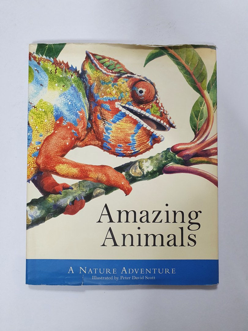 Amazing Animals, Hobbies & Toys, Books & Magazines, Children's Books on ...