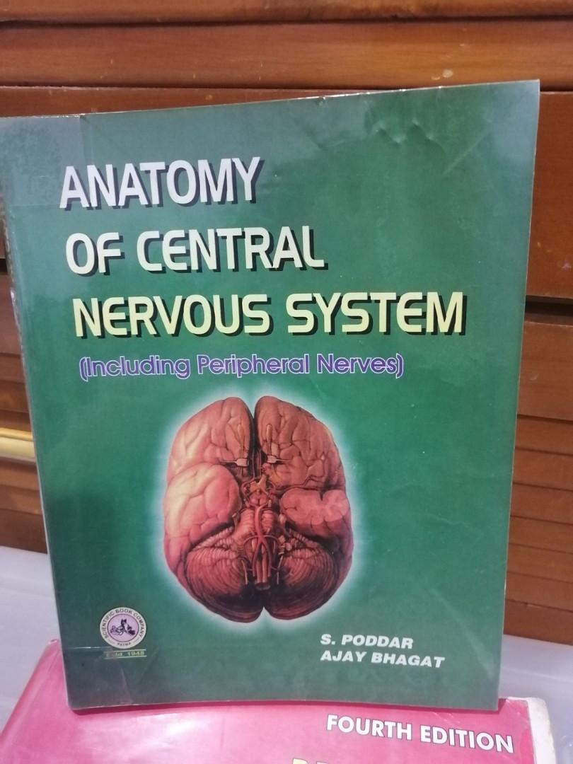 Anatomy of Central nervous system, Hobbies & Toys, Books & Magazines ...