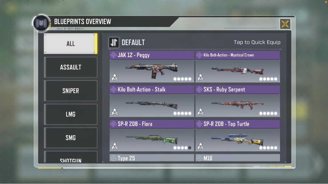 Codm account, Video Gaming, Gaming Accessories, Game Gift Cards ...