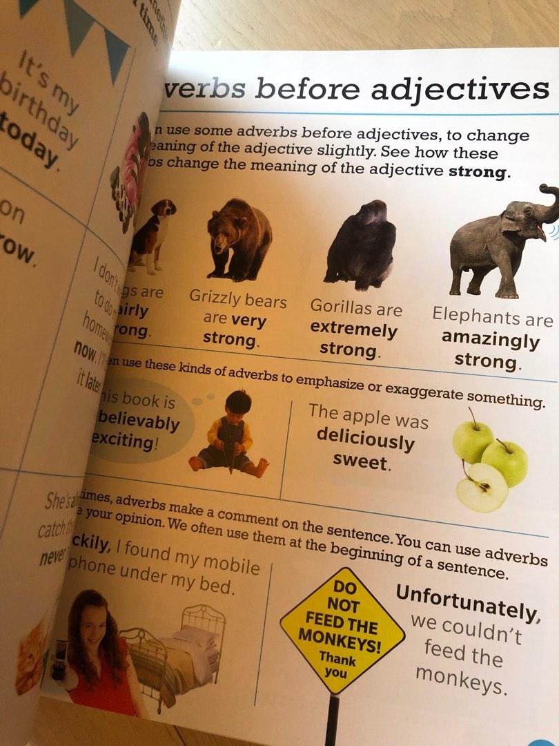 Children first self learning English book DK visual guide to grammar ...