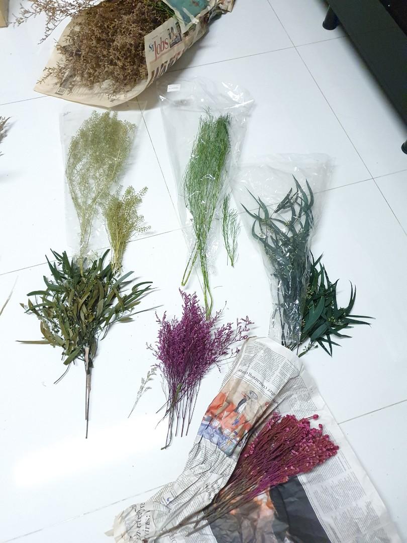 Dried and preserved foliage and small flowers, Hobbies & Toys ...