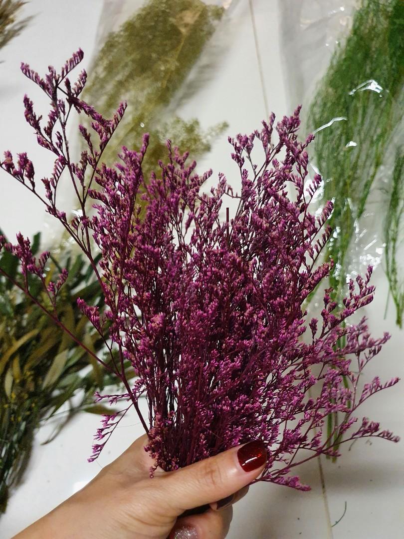 Dried and preserved foliage and small flowers, Hobbies & Toys ...