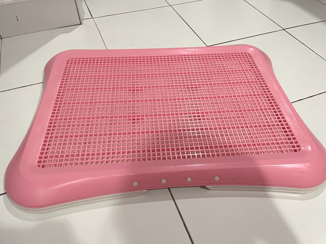 Large Potty Tray Training Toilet Pee for Dog, Pet Supplies, Homes ...