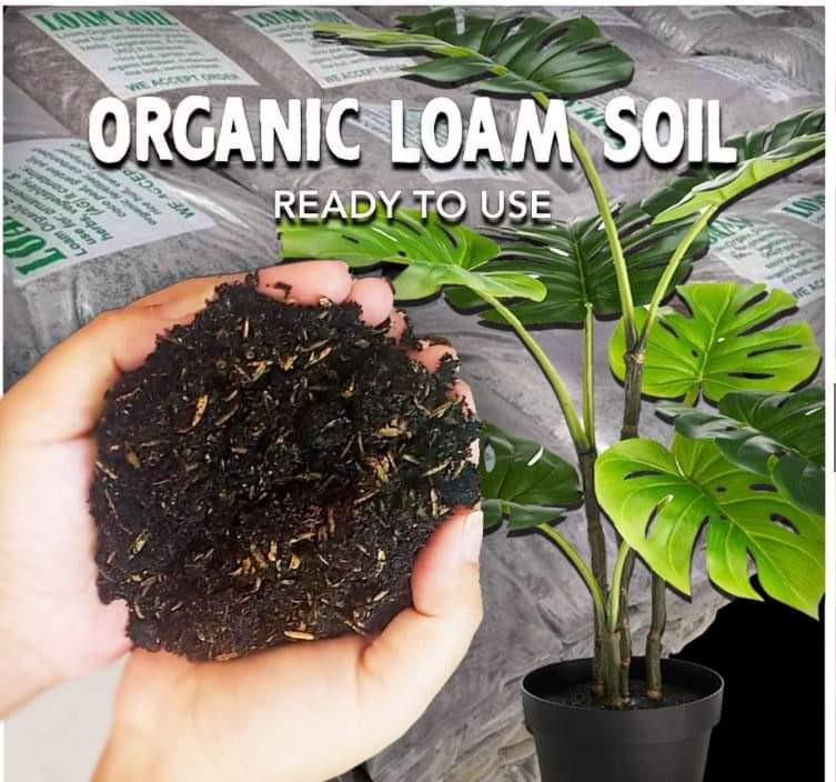 Loam Soil 9-10kg Complete Mixture, Furniture & Home Living, Gardening ...