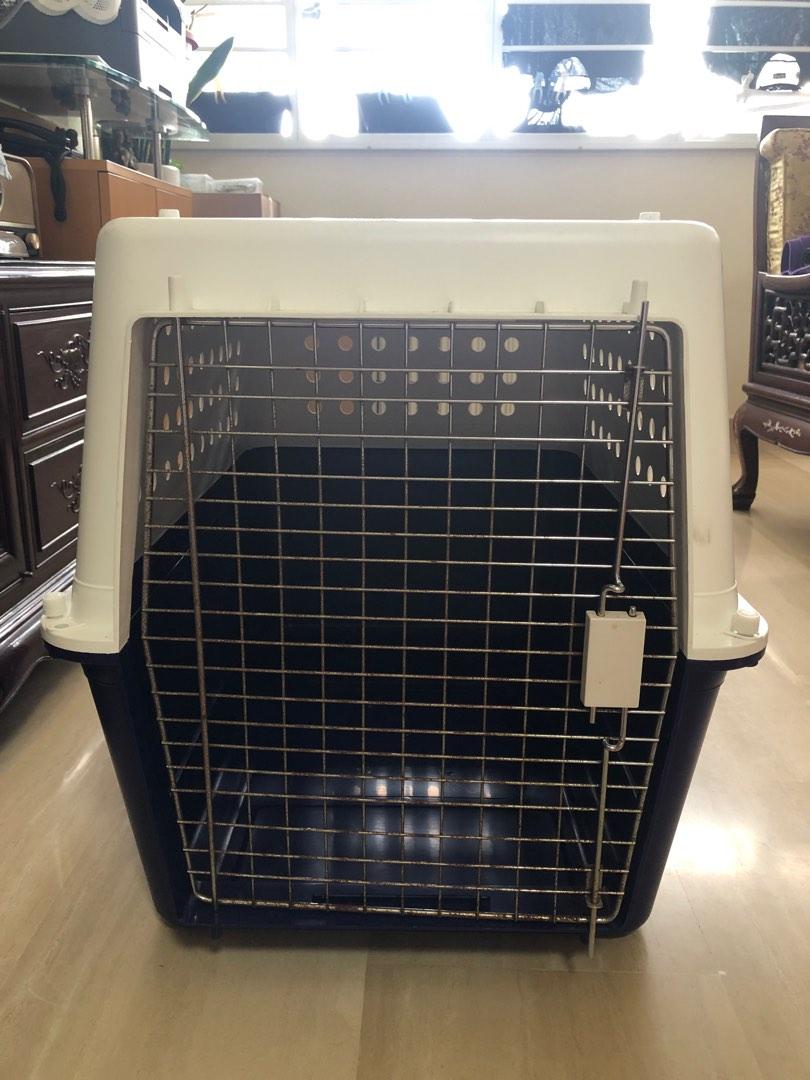 PP50 Dog Crate, Pet Supplies, Homes & Other Pet Accessories on Carousell