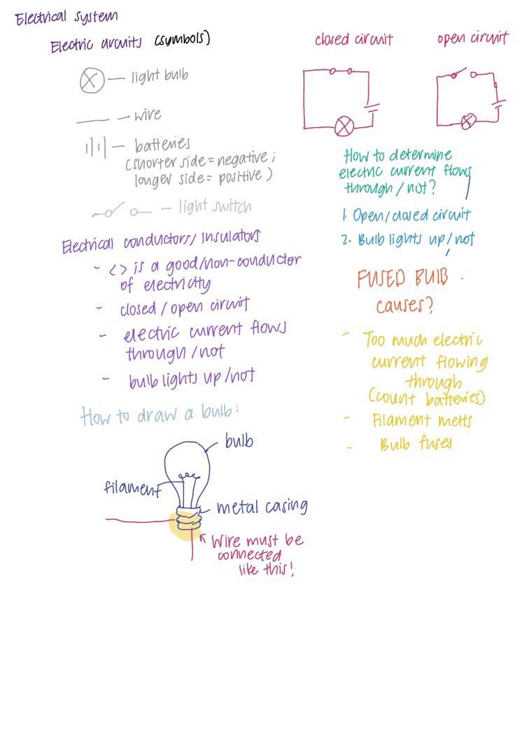 PSLE Science notes handwritten, Hobbies & Toys, Books & Magazines ...