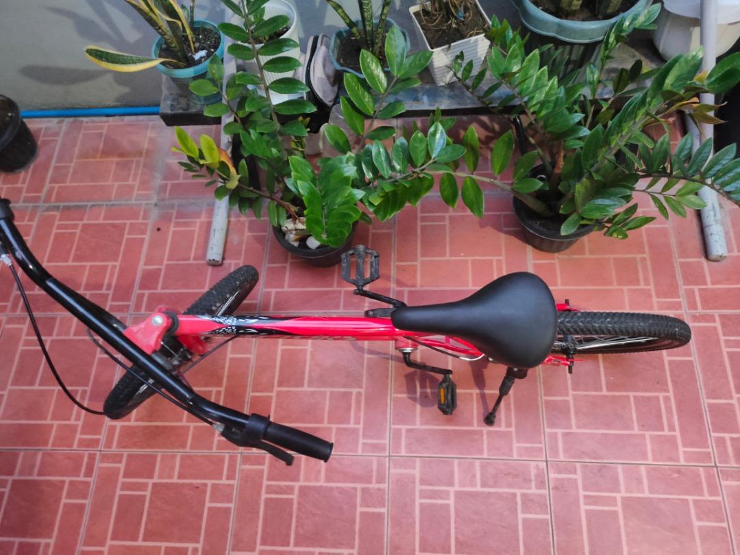 RAPTOR BIKE FOR KIDS, Sports Equipment, Bicycles & Parts, Bicycles on ...