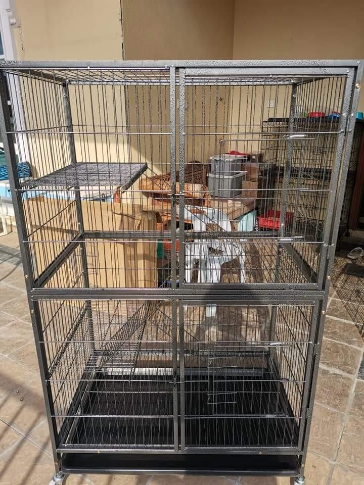 Sangkar kucing besar cat cage, Pet Supplies, Homes & Other Pet ...