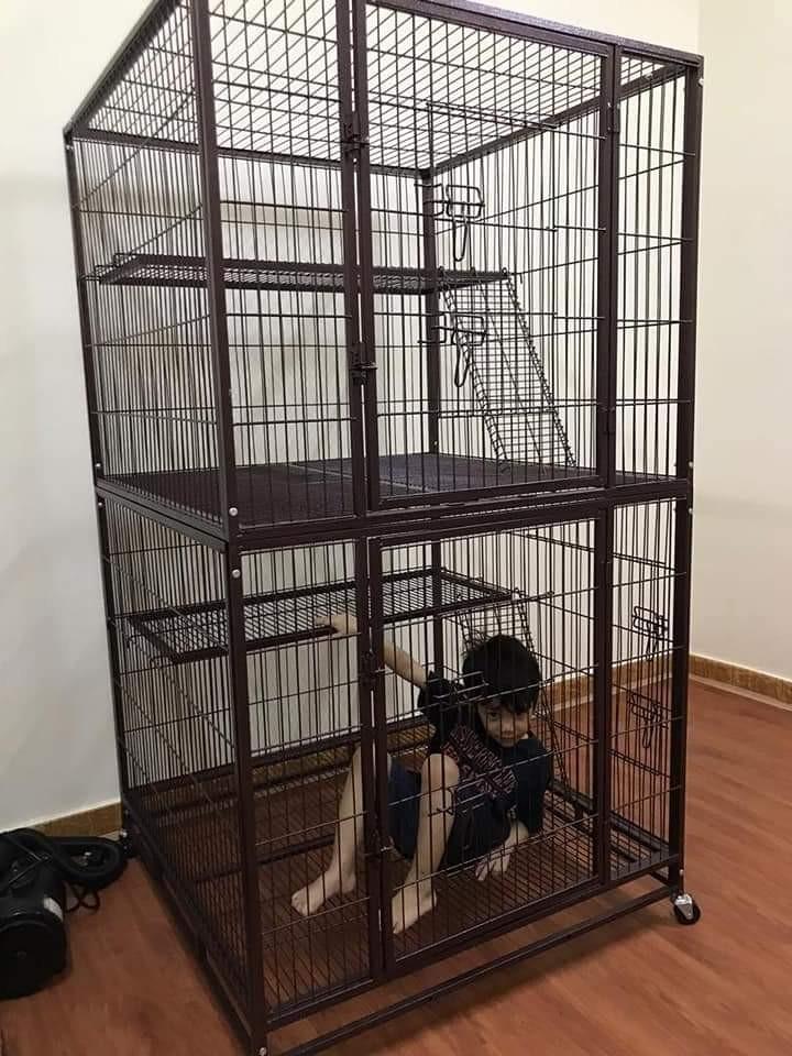 Sangkar kucing besar xl big cat cage, Pet Supplies, Homes & Other Pet ...