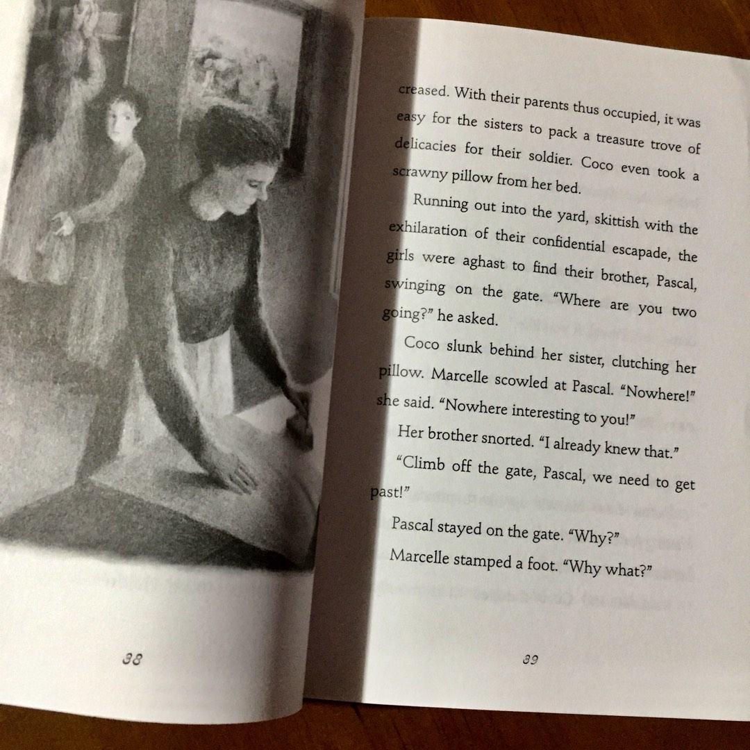 The Silver Donkey by Sonya Hartnett, Hobbies & Toys, Books & Magazines ...