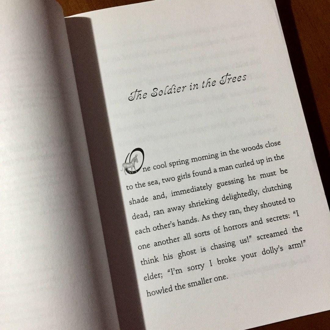 The Silver Donkey by Sonya Hartnett, Hobbies & Toys, Books & Magazines ...