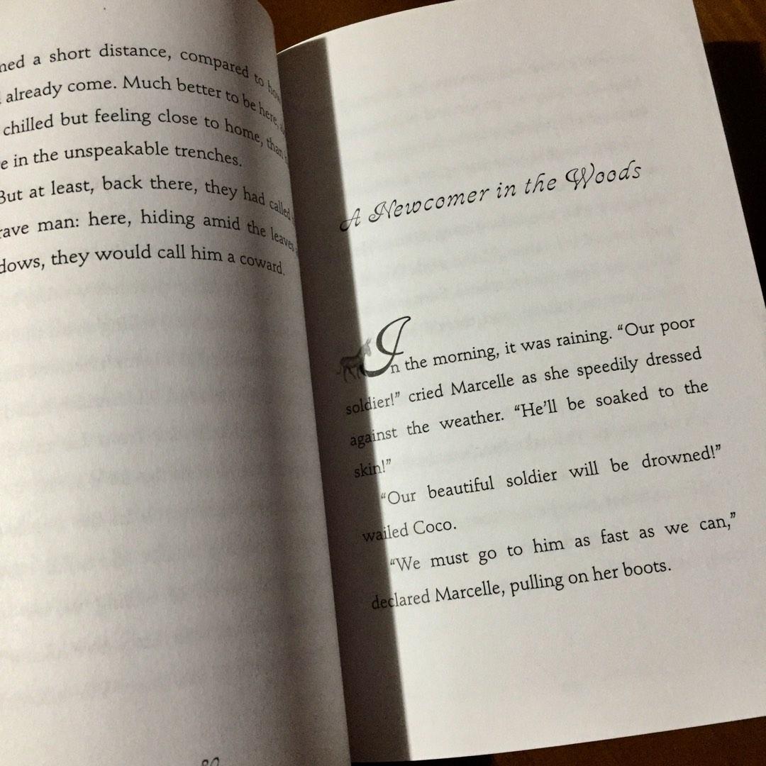 The Silver Donkey by Sonya Hartnett, Hobbies & Toys, Books & Magazines ...