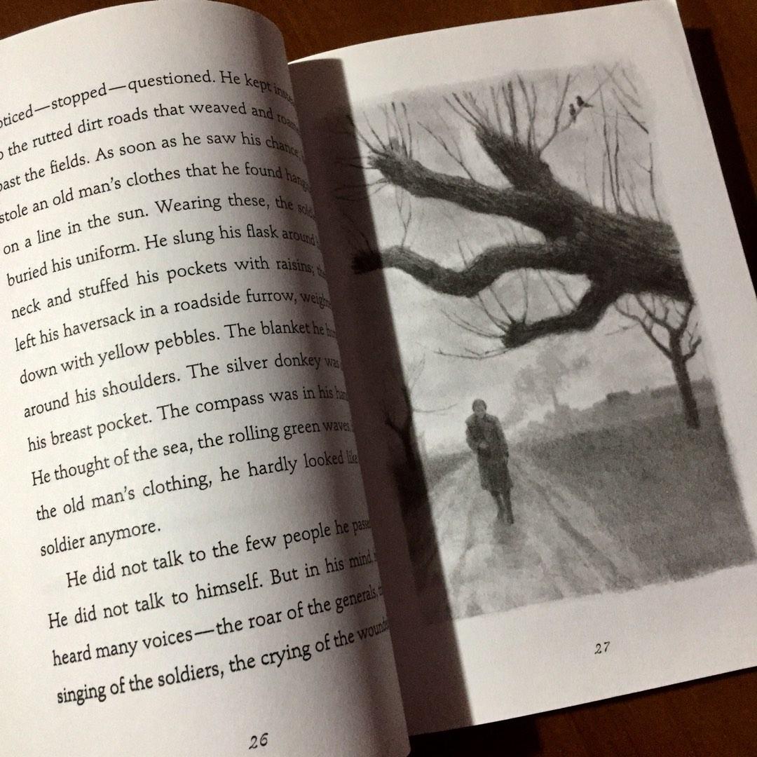 The Silver Donkey by Sonya Hartnett, Hobbies & Toys, Books & Magazines ...